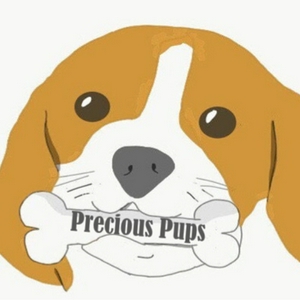 Precious Pups • A podcast on Spotify for Creators